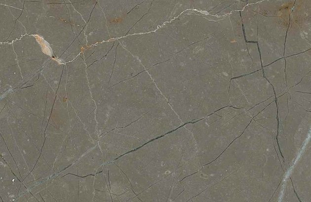Olive Marone Turkish Marble | Dark Marble for Countertops & Walling
