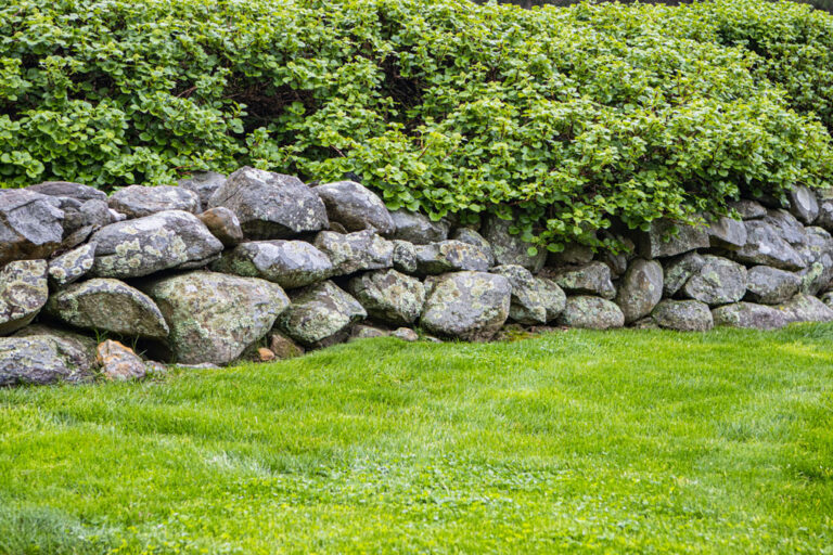 Dry Stack Fieldstone Wall Ideas That Will Charm Any Home